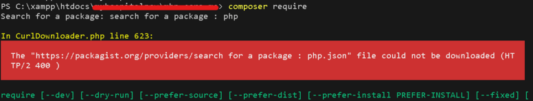 Composer Error: "The ... file could not be downloaded (HTTP/2 499)" - DevOps Support
